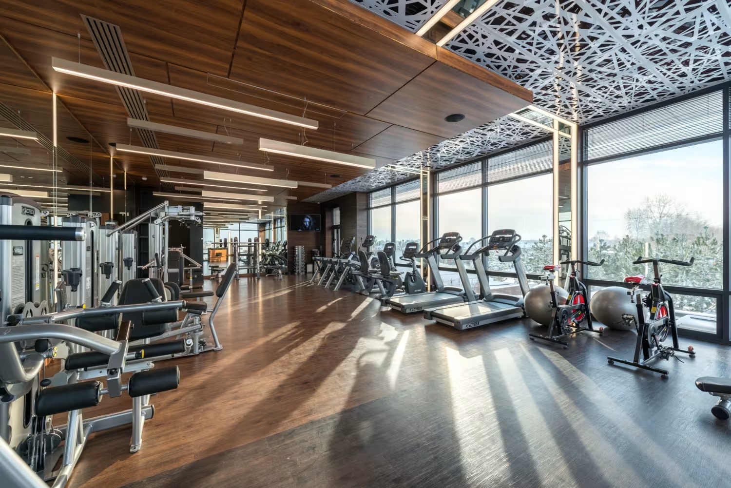 Guía completa para abrir un gimnasio en México | Gymsport