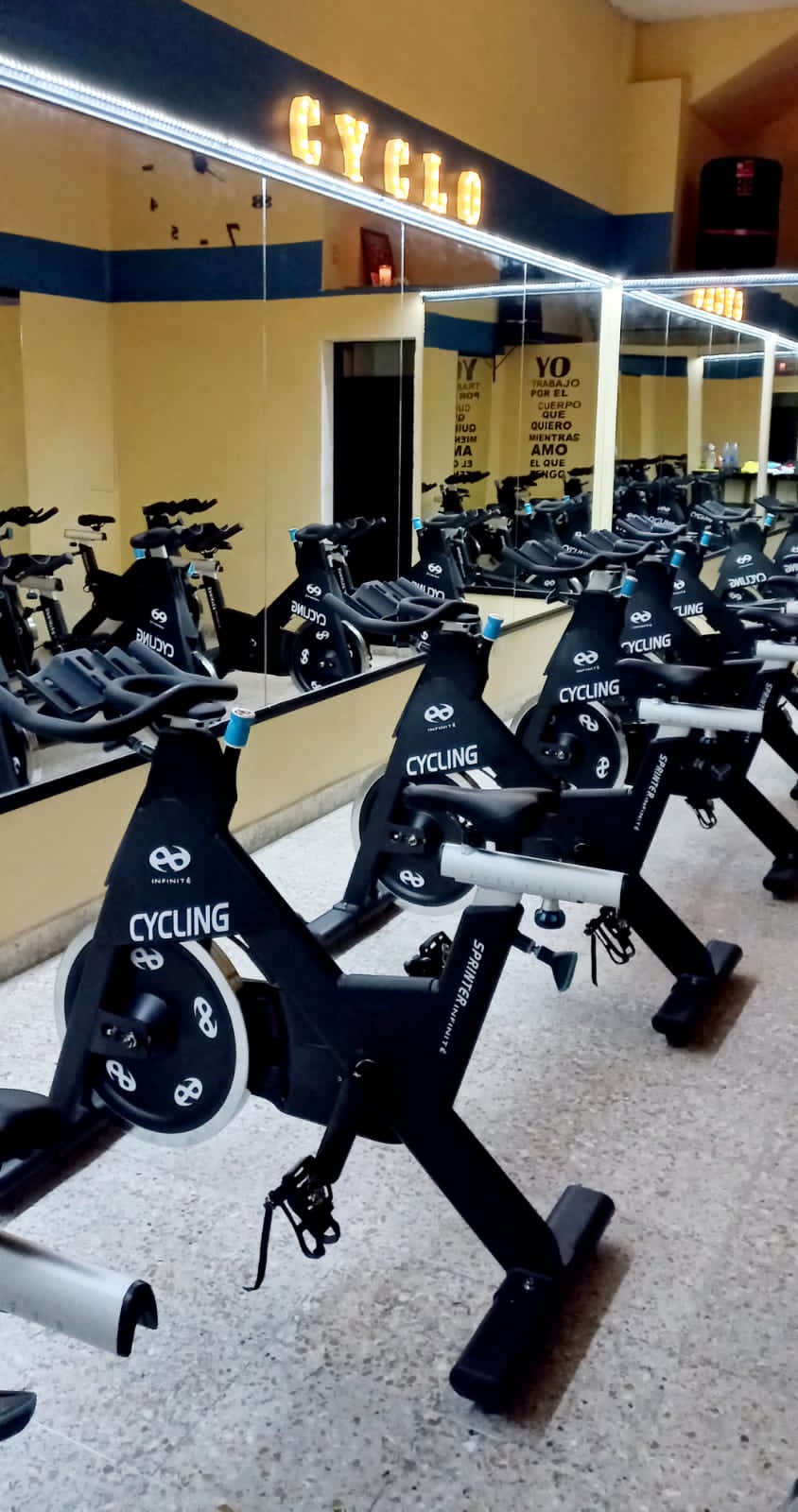 Cyclo Studio | Gymsport