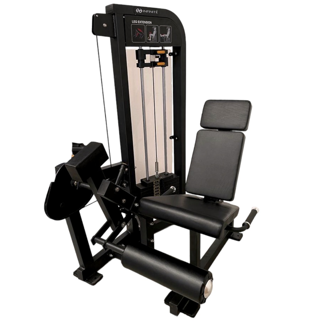 INFINITé Leg Extension IF-FM13 | Gymsport